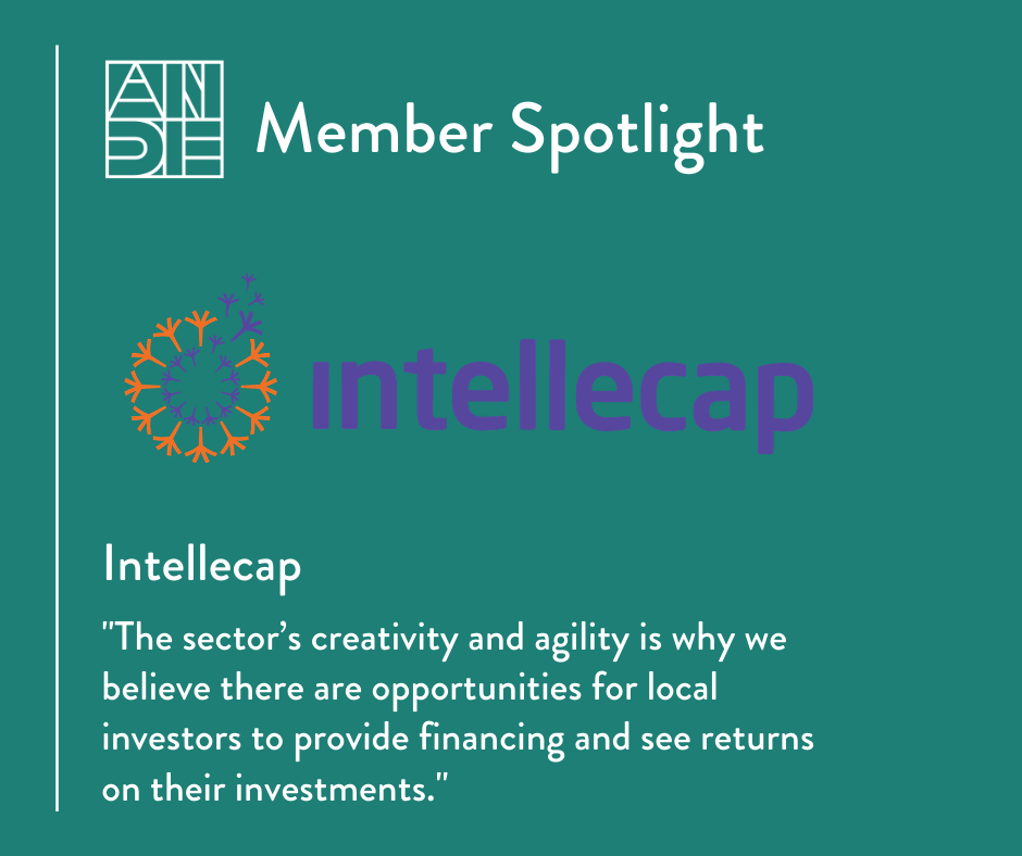 Member Spotlight: Intellecap - ANDE