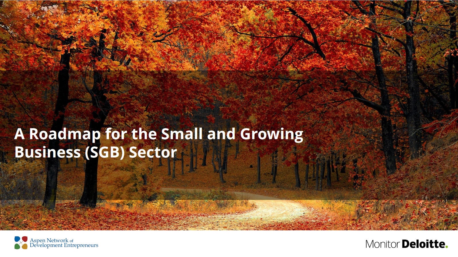 A Roadmap for the Small and Growing Business (SGB) Sector - ANDE