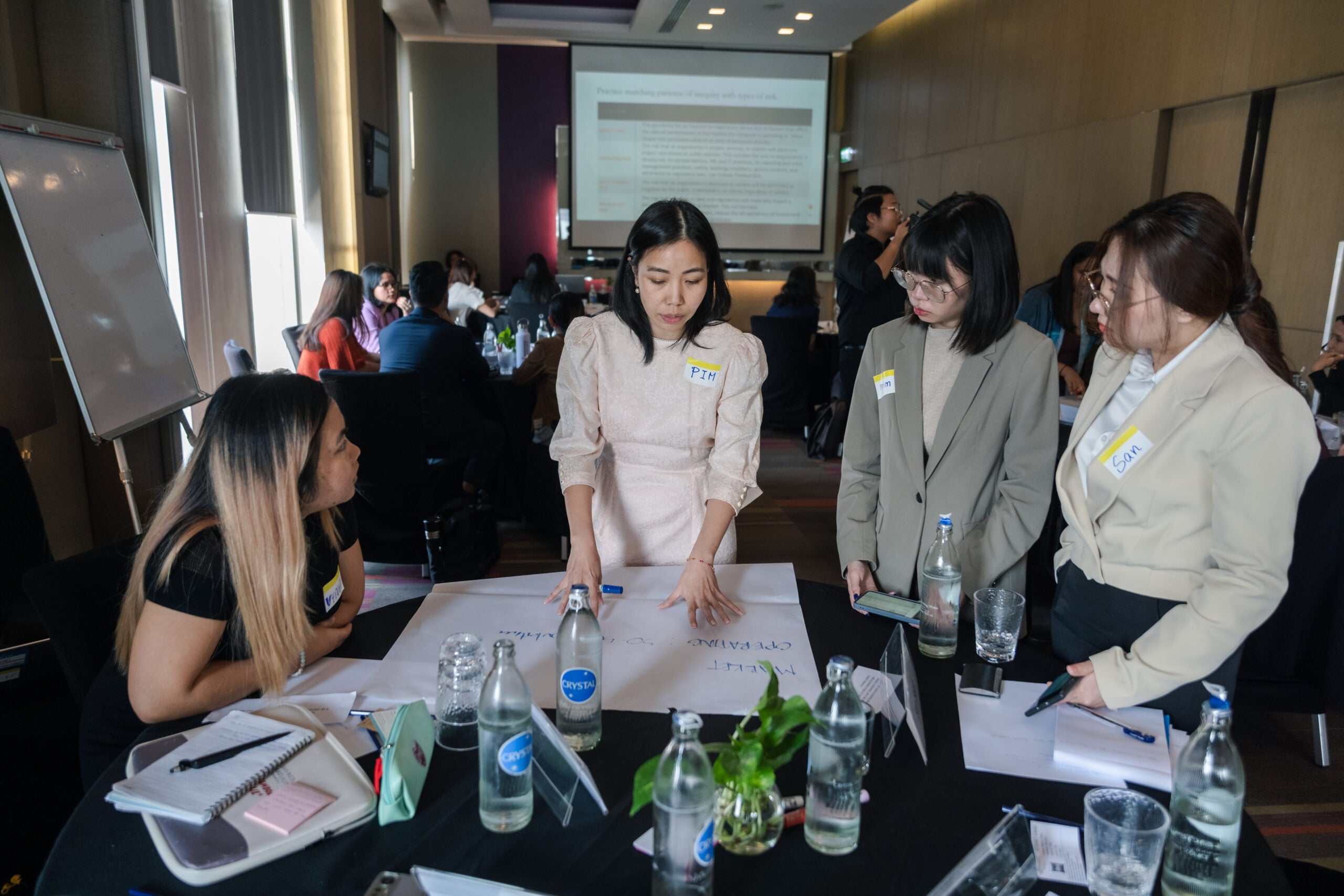 ARISE Research Finding Dissemination: Tackling Intersectional Financial Gaps for Women MSMEs - ANDE